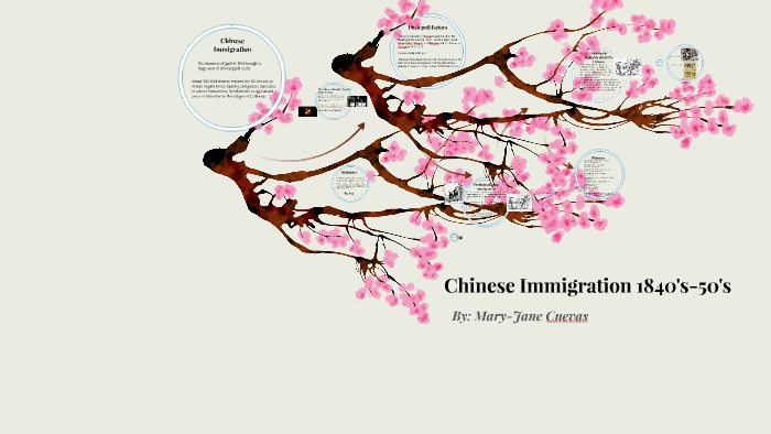 Chinese Immigration 1840s-50s by Rosie Couto on Prezi