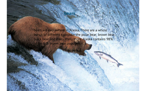 alaskan wildlife by mike fruth on Prezi