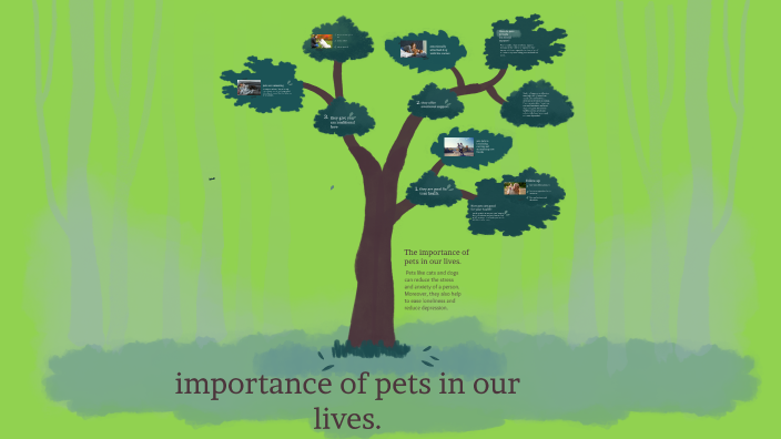 importance of pets by hareem fatima on Prezi