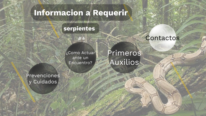 Rally by Lucas Rasmussen on Prezi