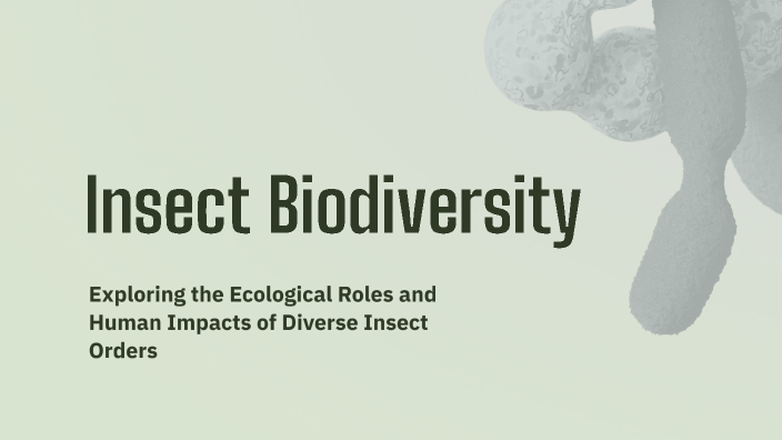 Insect Biodiversity: Understanding Ecological Importance by Valencia ...