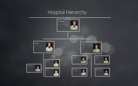 Hospital Hierarchy by Team Mario on Prezi