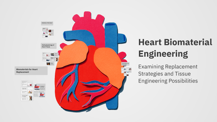 Heart Biomaterial Engineering by Yuchan on Prezi