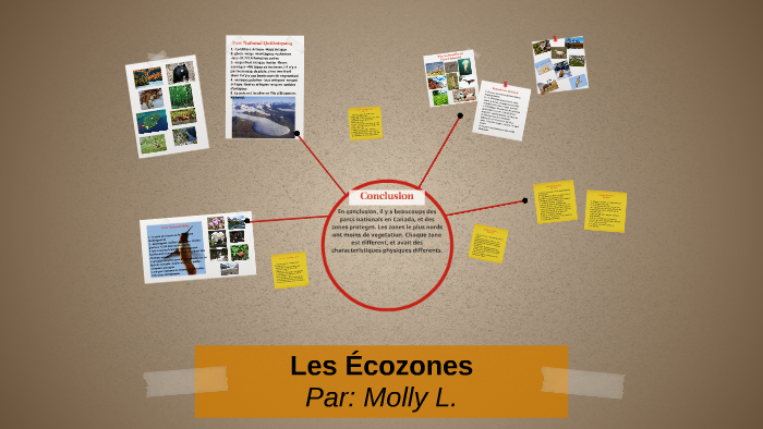 Les Ecozones by Molly L on Prezi