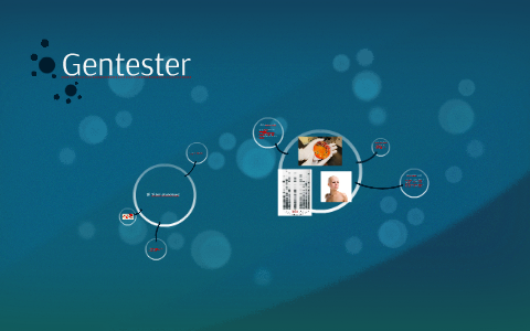 Gentester by Stine Eggen on Prezi