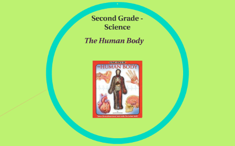 Second Grade - Science (The Human Body) by Helene Dennard on Prezi