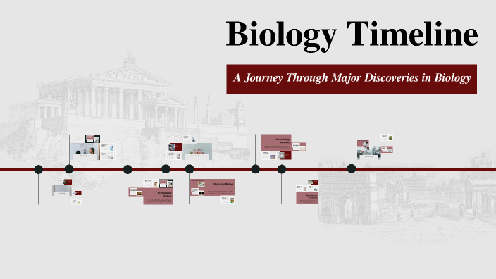 Biology Timeline by damilola james on Prezi