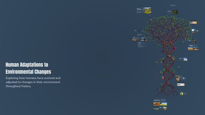 Human Adaptations to Environmental Changes by Keren Sabillón on Prezi