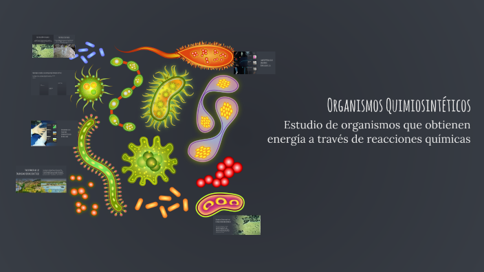 Organismos Quimiosintéticos by Sara Vázquez on Prezi
