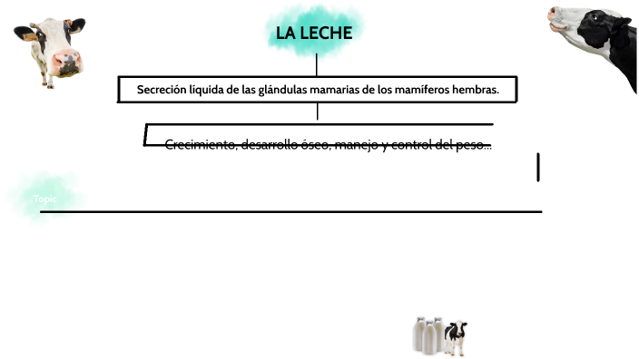 Mapa Conceptual Leche by Sara Gomez on Prezi
