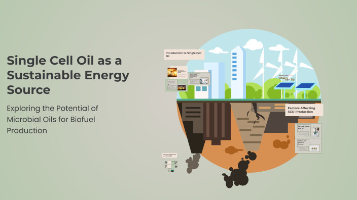 Single Cell Oil as a Sustainable Energy Source by Samar Yasser on Prezi