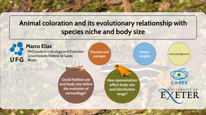 Animal coloration and its evolutionary relationship with species niche ...