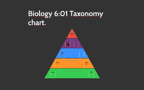 Biology 6:01 by Tyler DuFour on Prezi