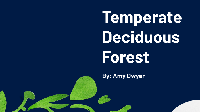 Temperate Deciduous Forest by Amy Dwyer on Prezi
