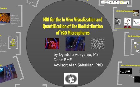 MRI for the in vivo Visualization of the Biodistribution of Y90 ...