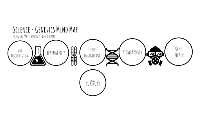 Genetics Mind Map - Quinten / / Josh by Quin R on Prezi