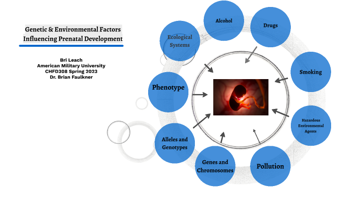 Genetic & Environmental Factors Influencing Prenatal Development by on ...