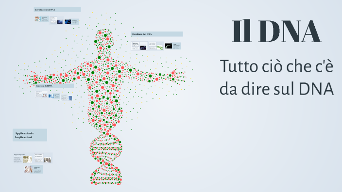 Il DNA by Classe 3B on Prezi
