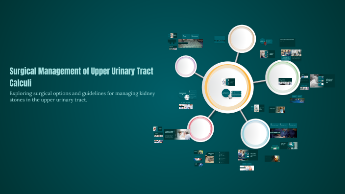 Surgical Management of Upper Urinary Tract Calculi by Andrea Lantz on Prezi