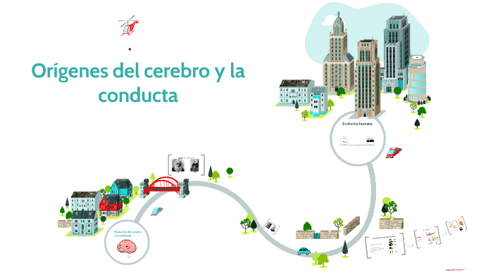 Orígines del cerebro y la conducta by Daniela Espinosa on Prezi