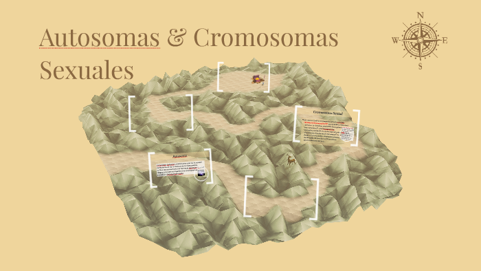 Autosomas & Cromosomas Sexuales by on Prezi