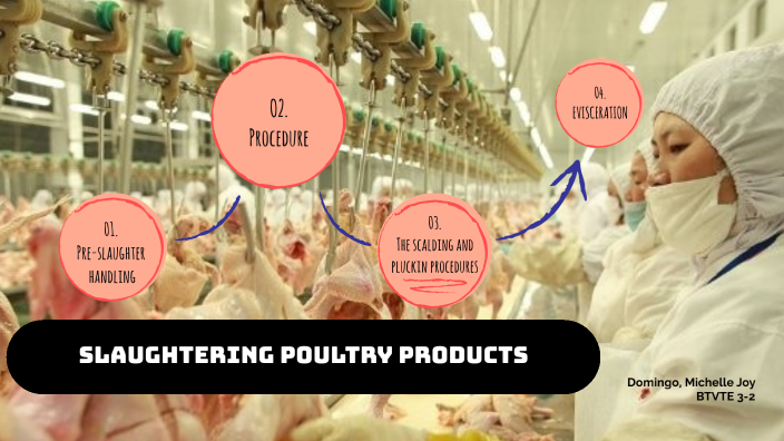 SLAUGHTERING OPERATIONS by Michelle Joy Domingo on Prezi