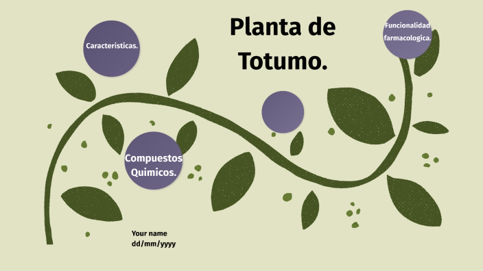 Planta de Totumo by karolina espinosa castillo on Prezi