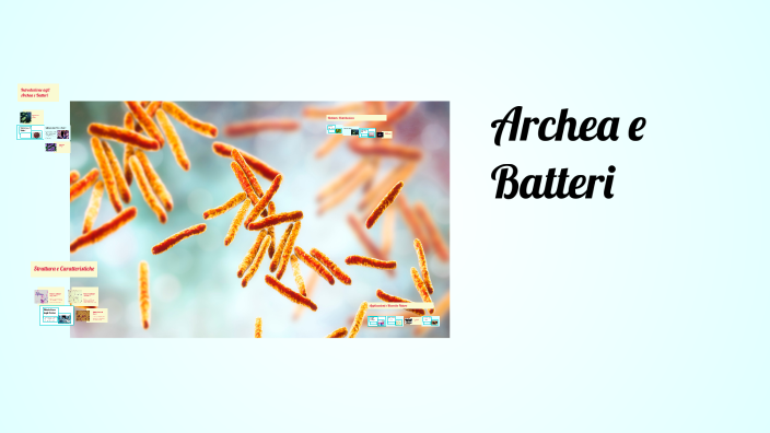 Archea e Batteri by Rebecca Solazzo on Prezi