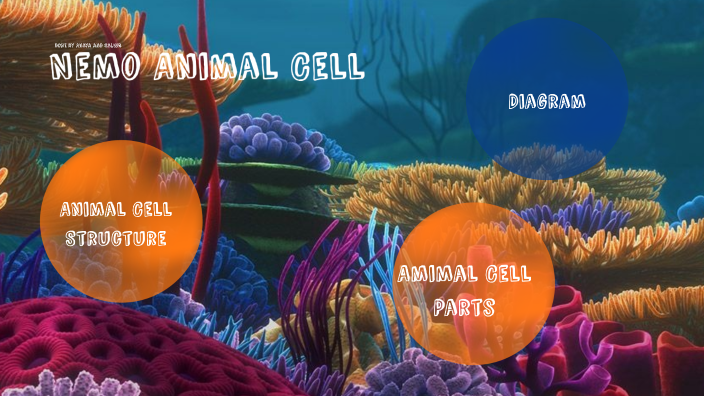 Nemo animal cell by anaya im on Prezi