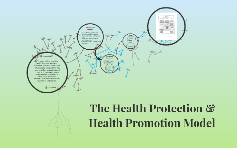 The Health Protection & Health Promotion Model by Adriana Cataldo on Prezi