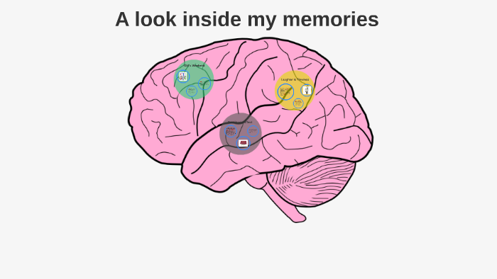 A look inside my brain by Sarah Walsh on Prezi