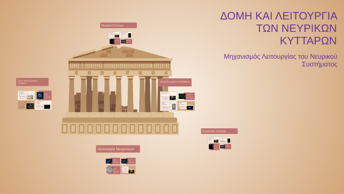 ΔΟΜΗ ΚΑΙ ΛΕΙΤΟΥΡΓΙΑ ΤΩΝ ΝΕΥΡΙΚΩΝ ΚΥΤΤΑΡΩΝ by Βίκη Αναγνώστου on Prezi