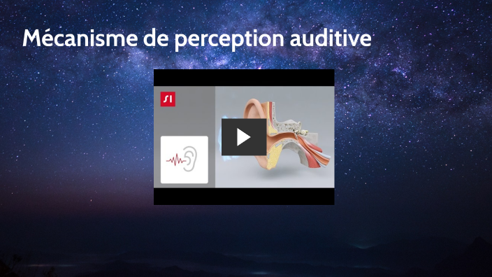 mécanisme de perception auditive by Matheo Girard on Prezi
