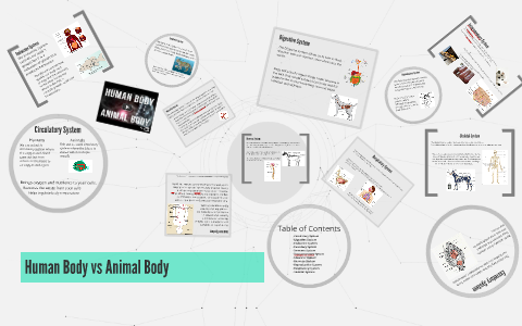 Human Body vs Animal Body by Jay Chung on Prezi
