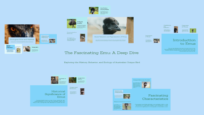 The Fascinating Emu: A Deep Dive by King Pro on Prezi
