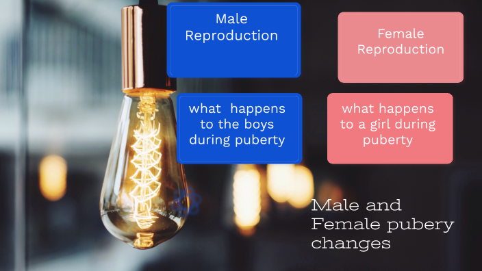 puberty change by on Prezi