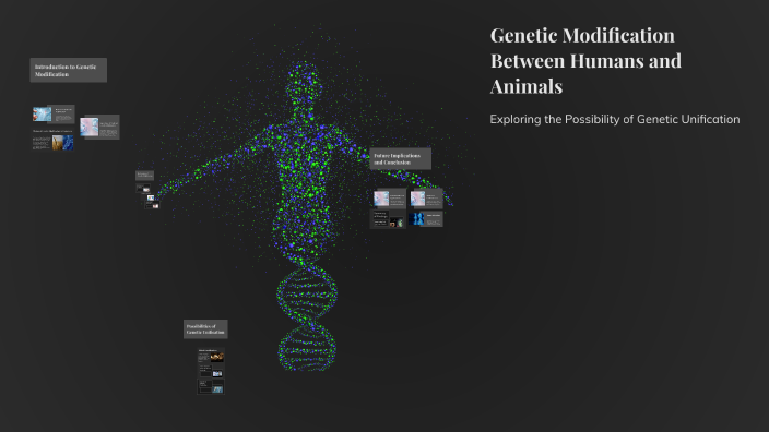 Genetic Modification Between Humans and Animals by Stella on Prezi