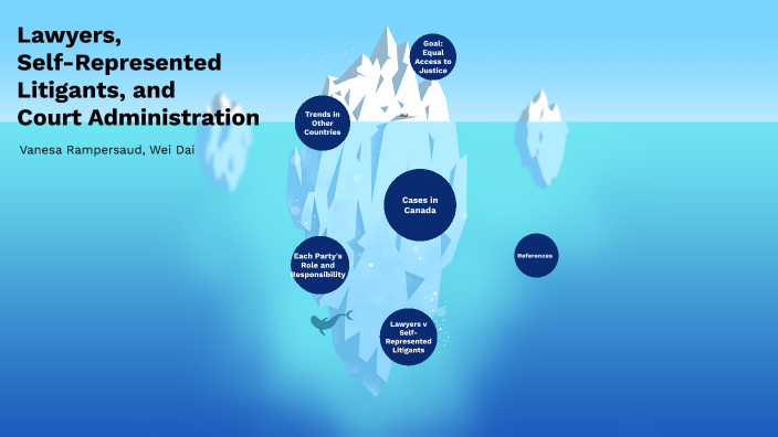 Lawyers, Self-Represented Litigants, and Court Administration by Wei ...