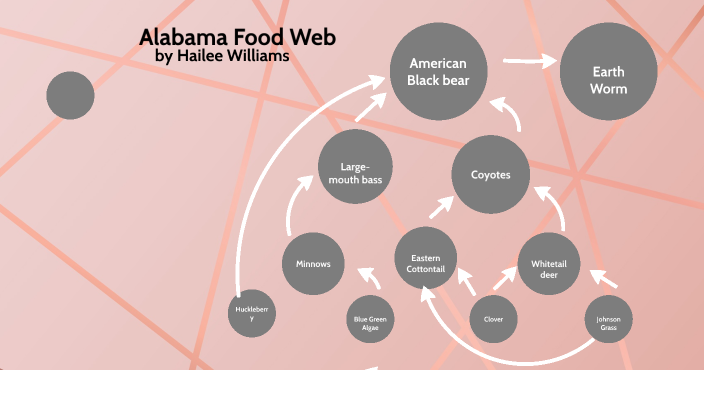 Alabama Food Web by Hailee Williams on Prezi