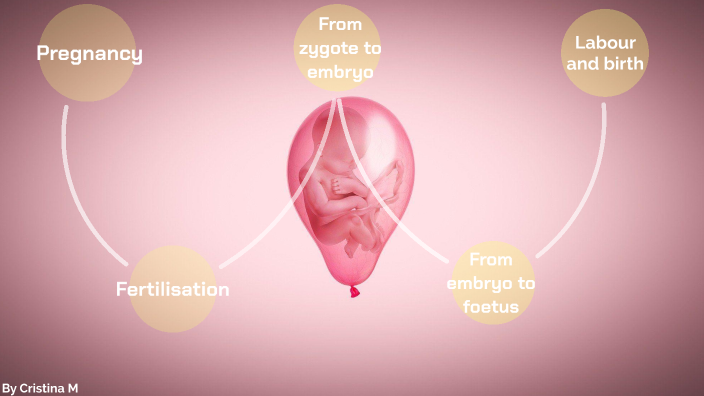 Natural Science Pregnancy by Cristina Nicole Martínez Pérez-Piaya on Prezi