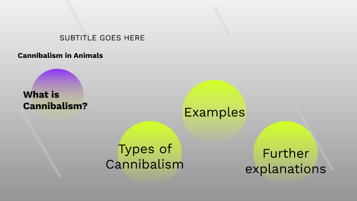 Cannibalism in Animals by Jerome Michael on Prezi