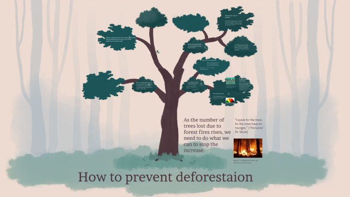 How to prevent deforestation by Yael Wise on Prezi