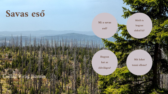 Savas eső by Jázmin Csillag Virág on Prezi