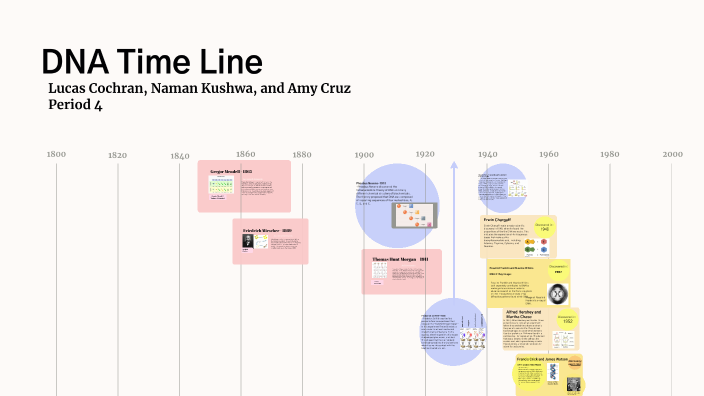 DNA Time Line (Real One) by Lucas Cochran on Prezi
