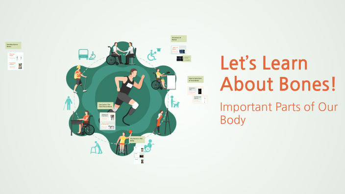 Let’s Learn About Bones! by Kyoungtae Kang on Prezi