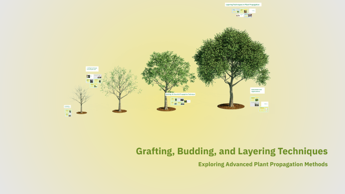 Grafting, Budding, and Layering Techniques by Alexander Legaspi on Prezi