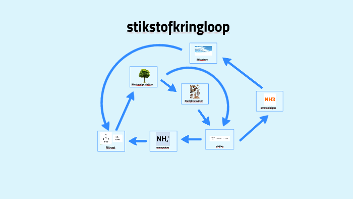 stikstofkringloop by Nick van den Heuvel on Prezi