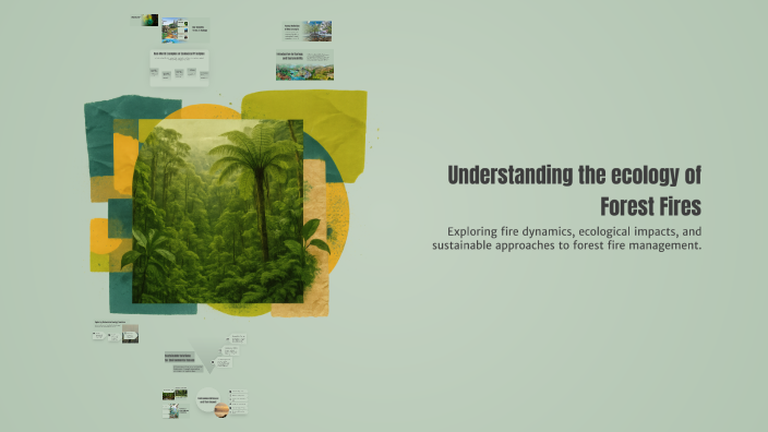 Understanding the ecology of Forest Fires by Raheema Khan on Prezi