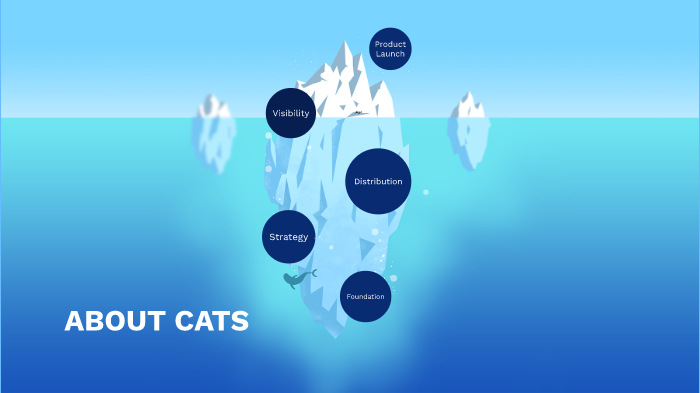 THE CAT BODY by Keely Ellis on Prezi
