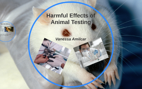Why Animal Testing is Bad by Vanessa Amilcar on Prezi